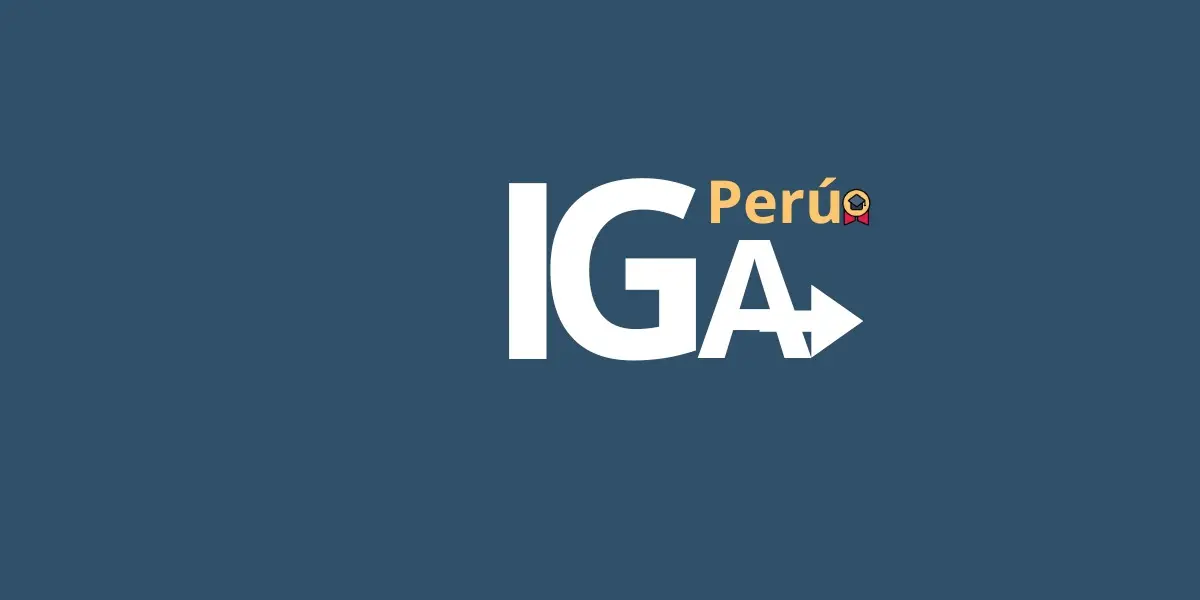 IGA Perú | Alta Dirección y Profesionalización en el Sector Público